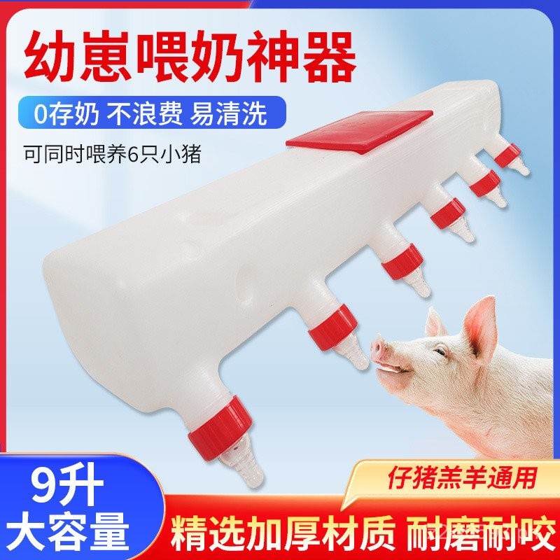 Piglet Feeder Small Piglet Milk Feeder Lamb Milk Feeder Piglet Multiple ...