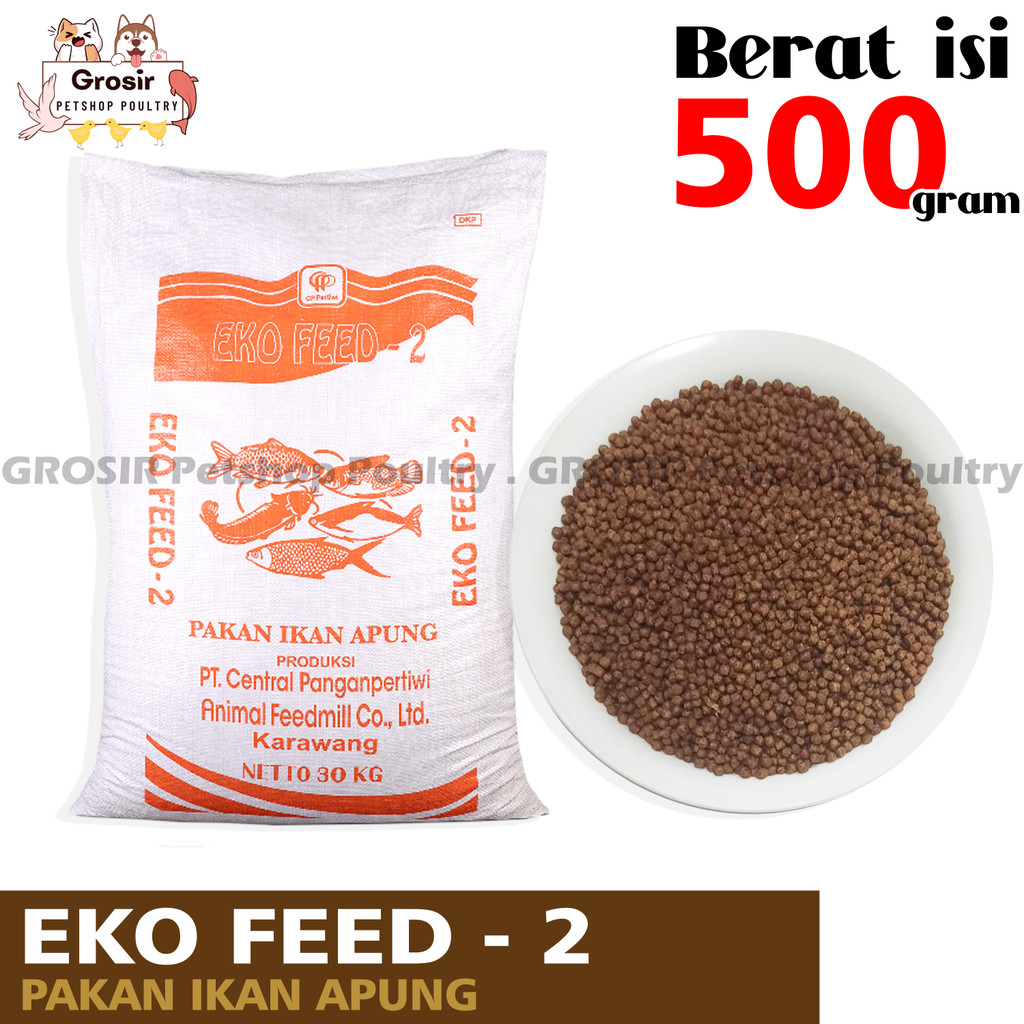 Eko Feed 500 grams Freshwater Fish Pellets Floating Feed Catfish ...