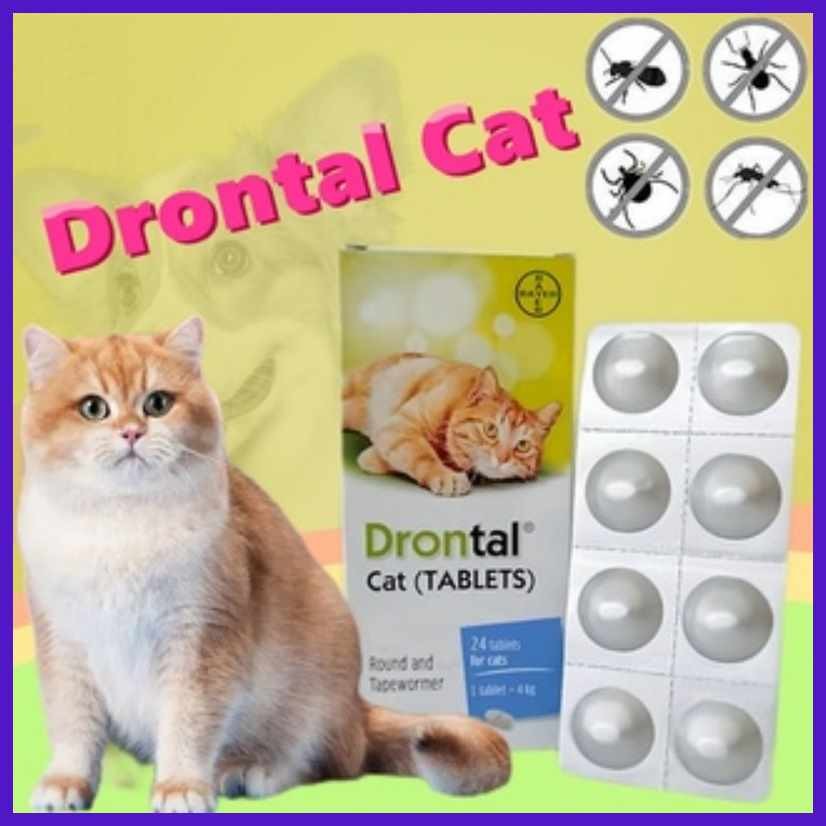 DRONTAL>d)PLUS)Z>veterinary)C?recommended*E?insect*x?repellent*S?for*iM ...