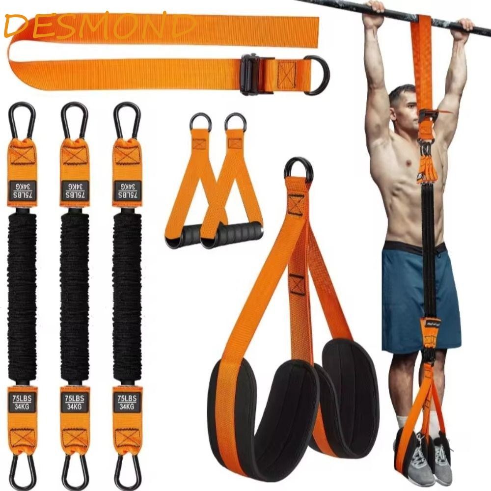 DESMOND Pull Up Assistance Bands, Weight Adjustable Heavy Duty ...