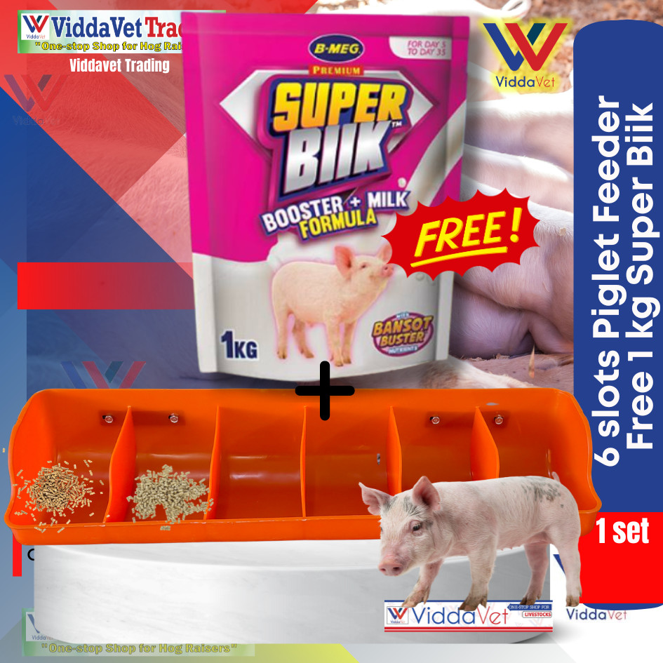 Super Biik 1kg Piglet Feeding Plastic Piglet Trough Stainless Feeder ...