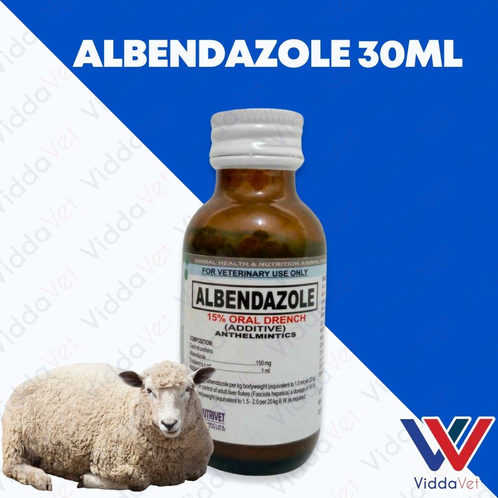 Albendazole 15% Gamot sa Bulati 30ml para sa Kambing | Shopee Philippines