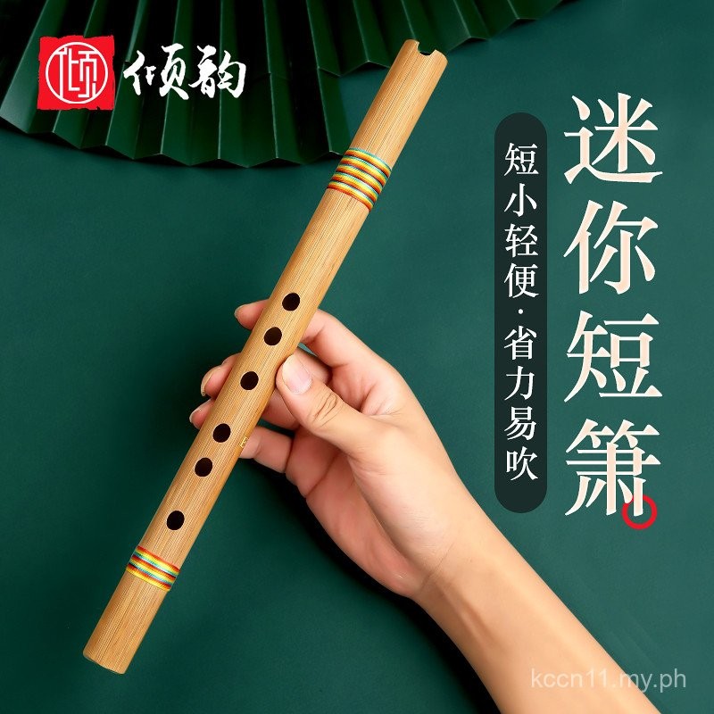 Beginner's Guide to Portable Bamboo Flute, Advanced Mini Xiao Flute ...