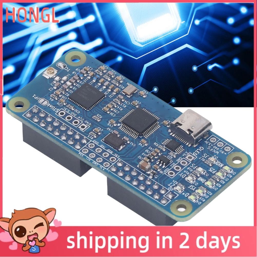 Honglai MMDVM Hotspot Board PCB Organic Light Emitting Diode Interface Fine Workmanship NXT ...