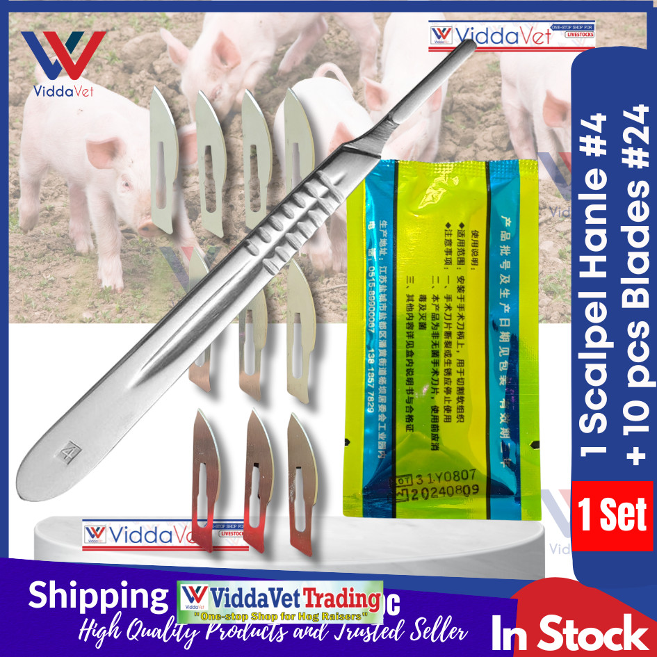 Scalpel handle and blade 10 pcs set Scalpel set Fits Surgical Blades ...