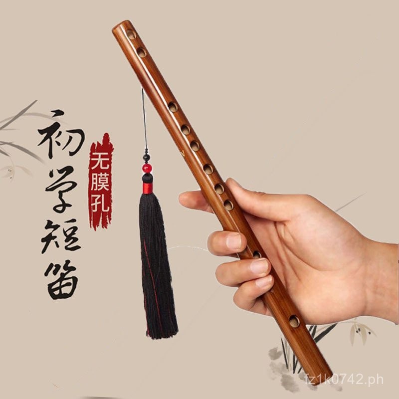 Student Female Short Flute Beginner Children Portable No-Membrane ...