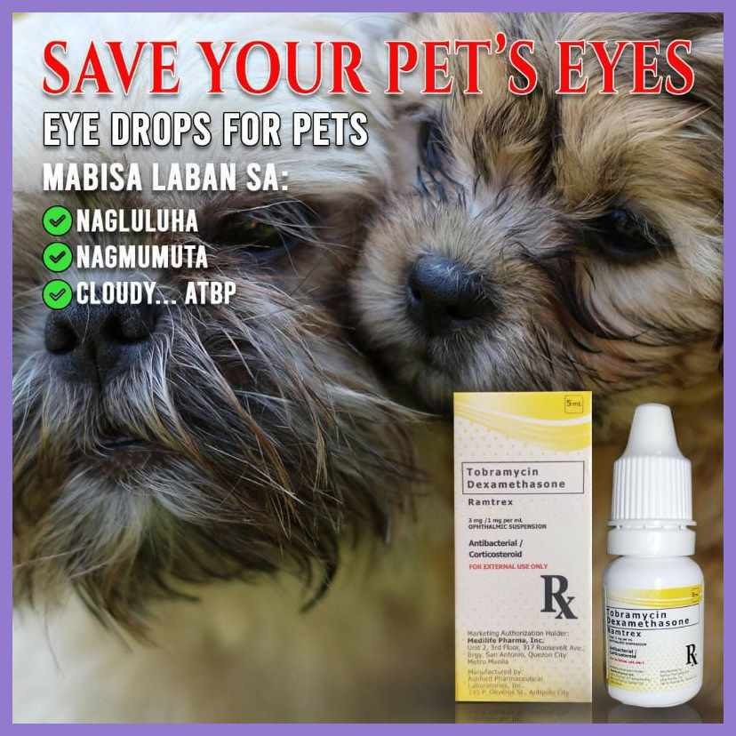 RAMTREX=y[Tobramycin&c~+$MB^Dexamethasone/PY^Eye/lQ^Drops/ZY^for/IS ...