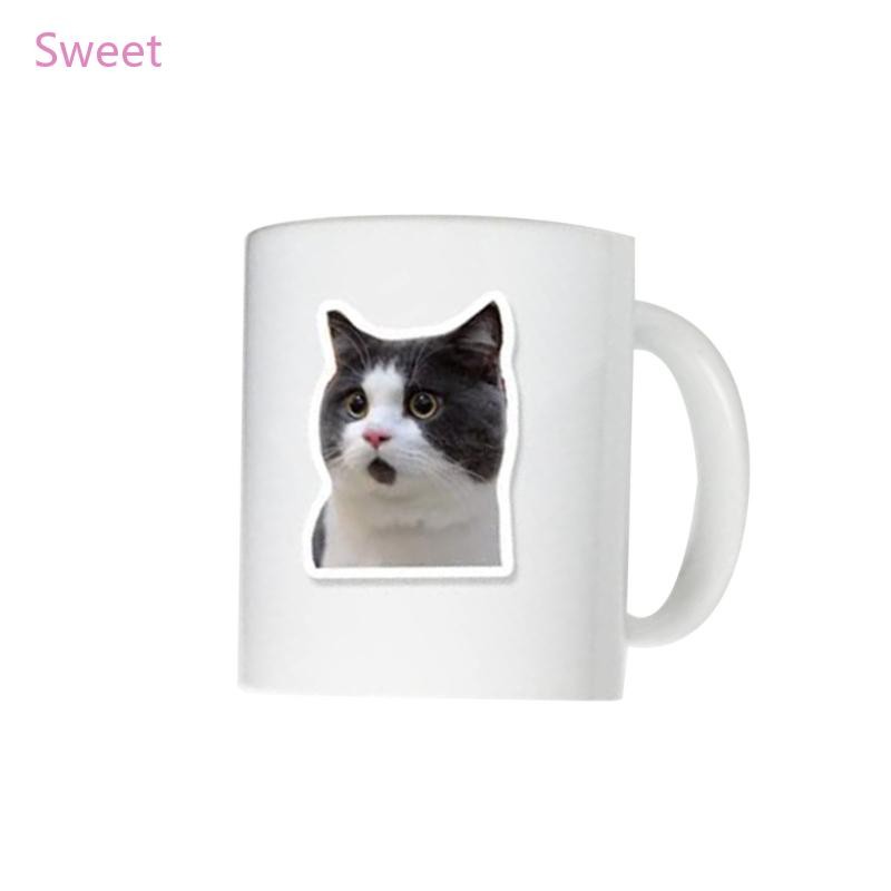 Sweet 50x Funny Cats Stickers Meme Stickers Art Graffiti Stickers For ...