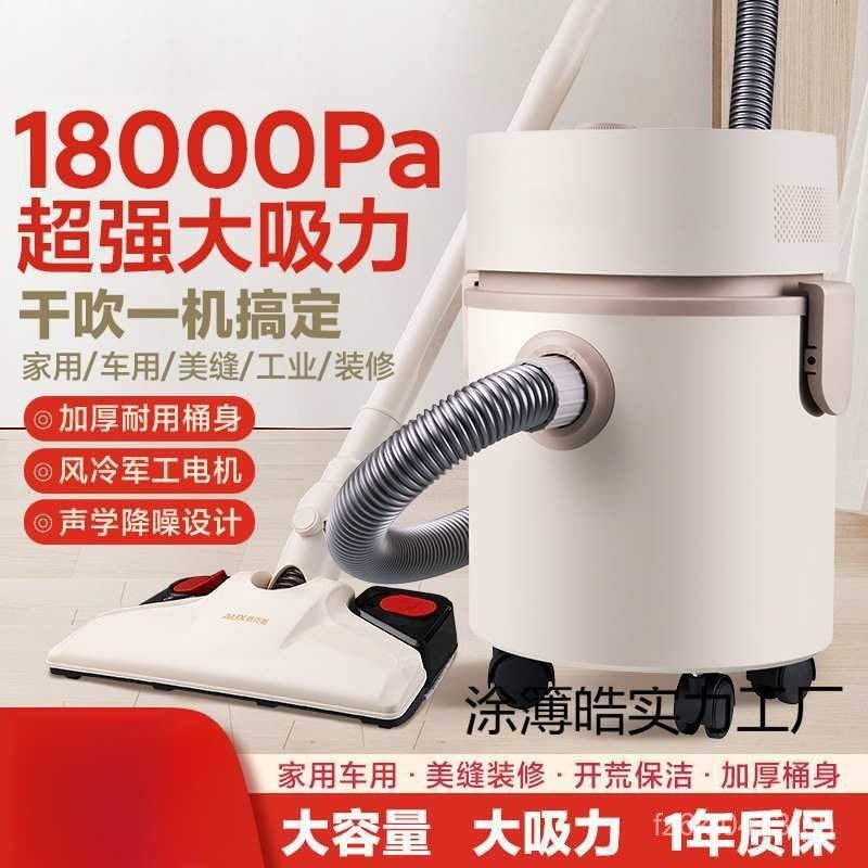 Vacuum Cleaner with Suction and Blowing Function, Bucket Type, Large ...