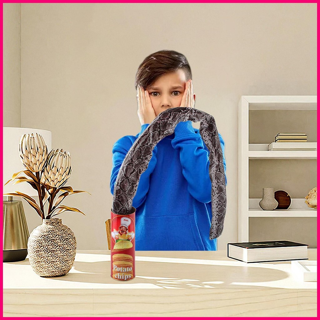 April Fools Pranks Potato Chip Snacks Can Surprise Halloween Jokes Toys ...