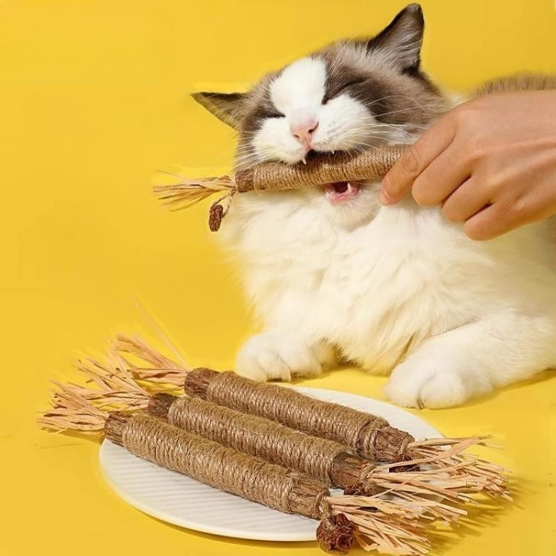 3 Pack Wooden Celestial Cat Toy Teething Stick for Cat Molar | Shopee ...