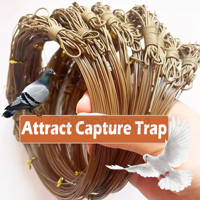 10 Rings Wild Chicken Tikling Racik Snare Hanging Rack Shay Trap Truwok ...