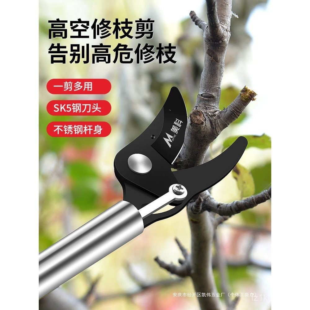 Pruning Shears with Extended Handle, Long Reach Pole, Telescopic Tree ...