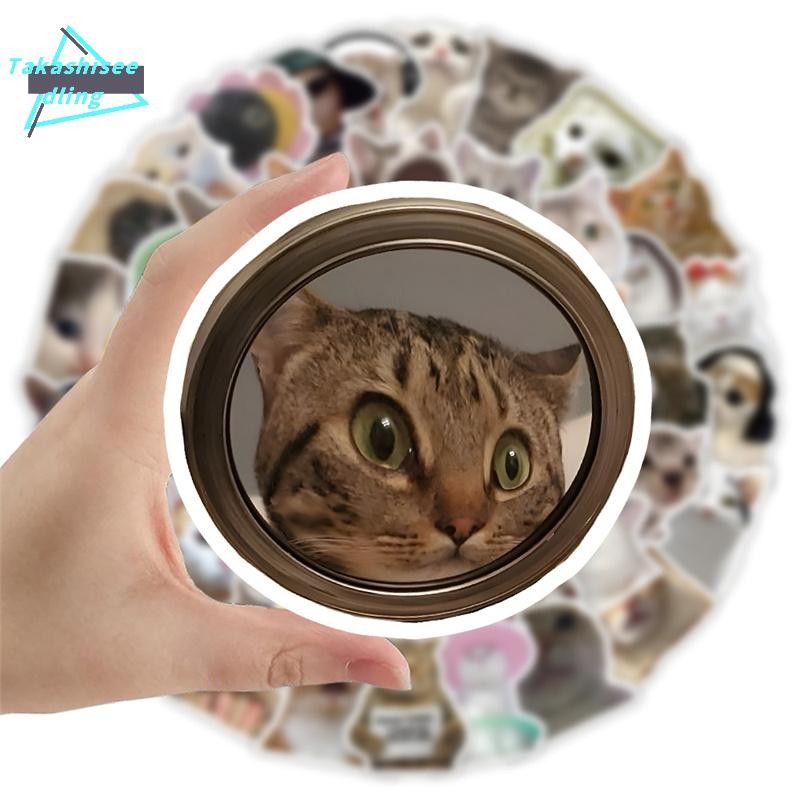 (Takashiseedling) 106-Piece Cat Meme Sticker Set - Doodle Abstract ...