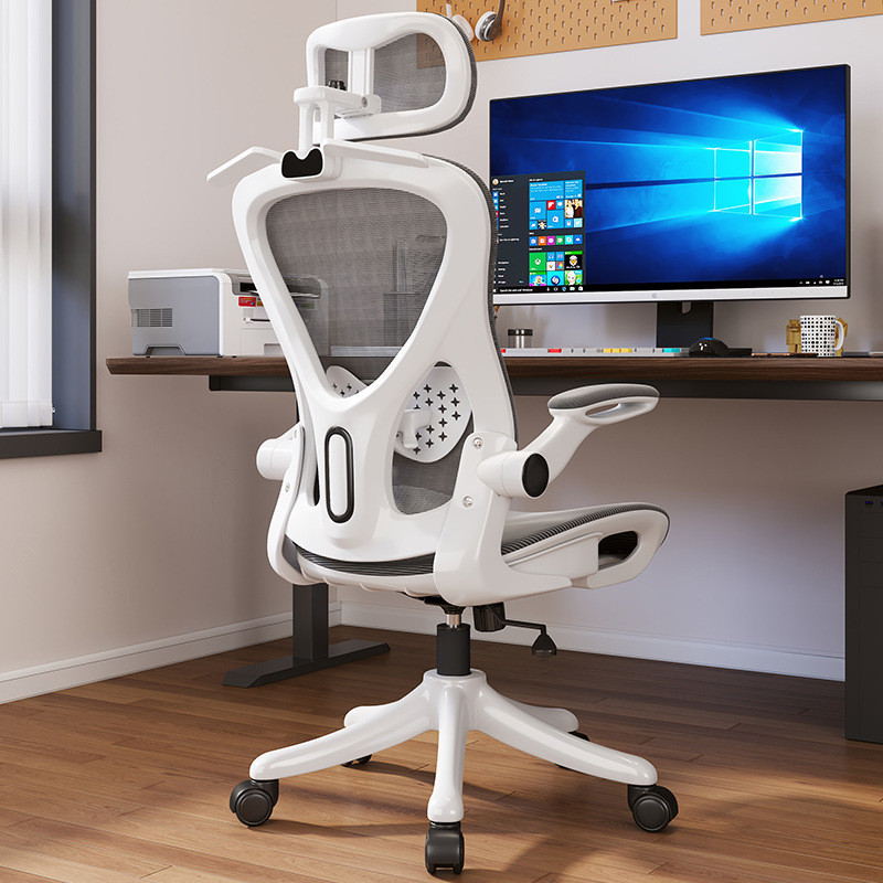 Ergonomic Chair Computer Chair Home Waist Support Comfortable Long ...