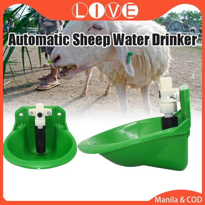 Automatic Sheep Water Drinker Sheep Automatic Water Drinker Bowl ...