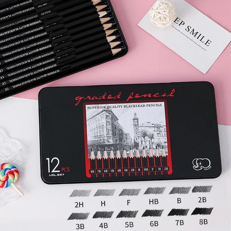 Professional Drawing Sketching Pencil Set 12 PCS Art Pencils Graphite Shading Pencils for ...