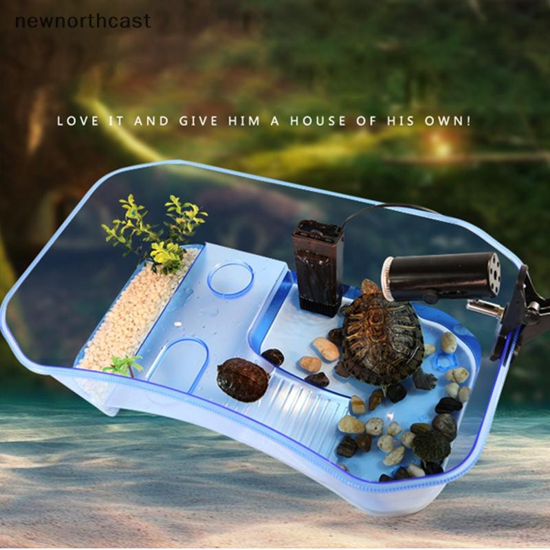 [newnorthcast] Reptile Vivarium Box for Turtle Tortoise Feeding Box ...