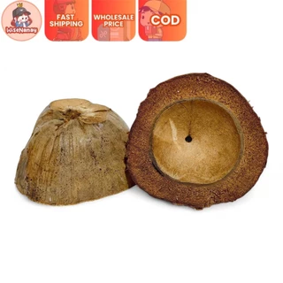 Shop bunot for Sale on Shopee Philippines