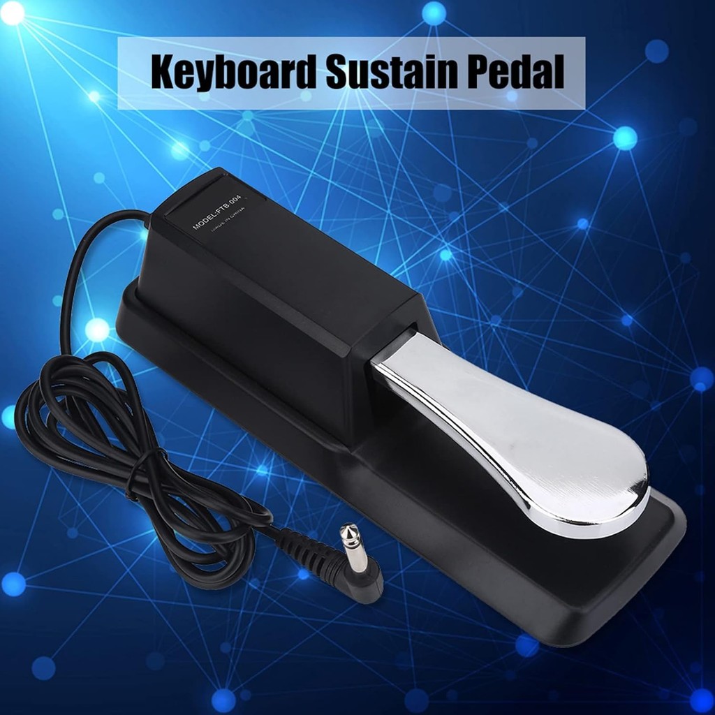 Keyboard Sustain Pedal, Universal Digital Piano Foot Pedal with Non ...