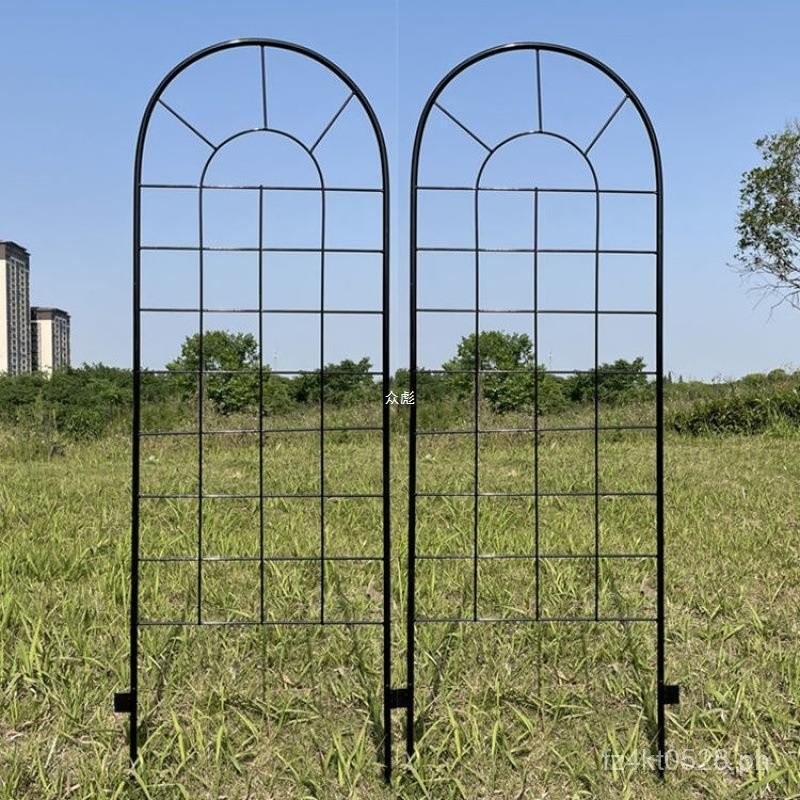 Clematis Plant Wall Rose Trellis Rose Fence Support Climbing Vine Frame ...
