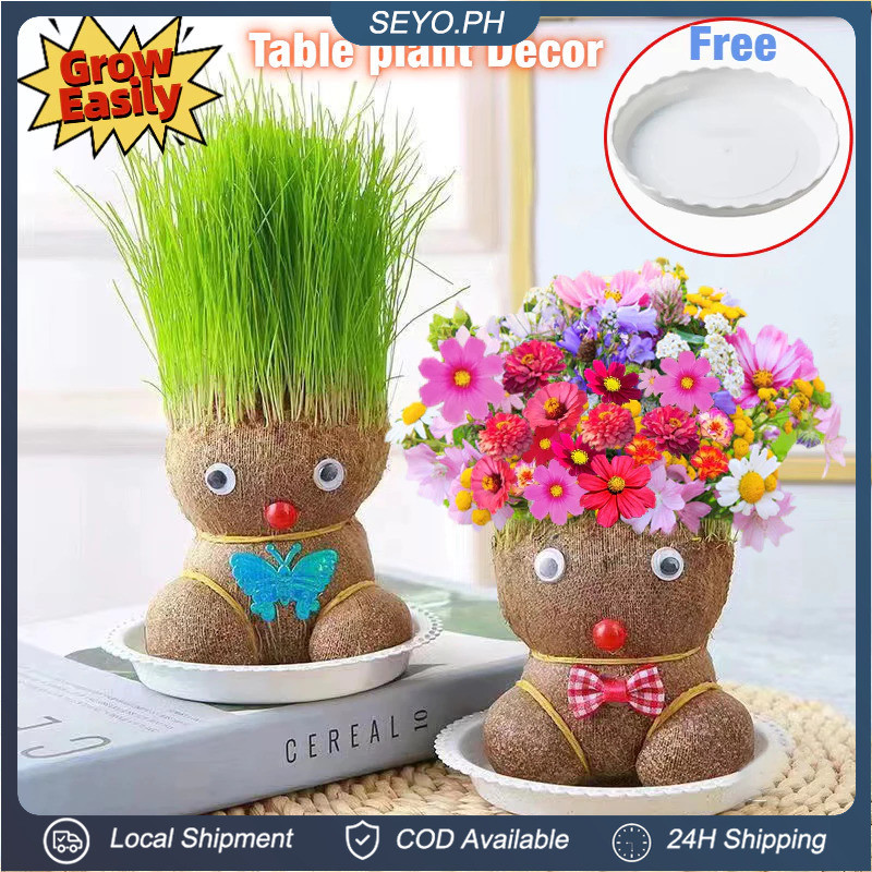Growing Grass Head Small Doll Children Growing Grass Toys DIY Room ...