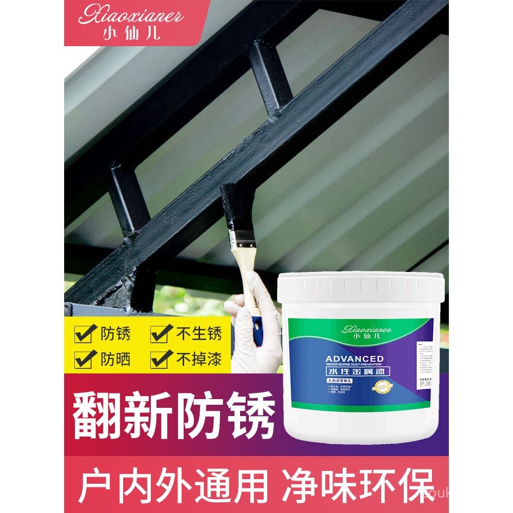 Water-based Metal Paint Anti-rust Paint for Railing Iron Doors and ...