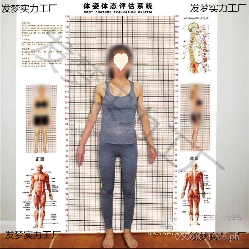 Yoga Gym Chart Personal Training Posture Grid Body Fat Chart Body ...