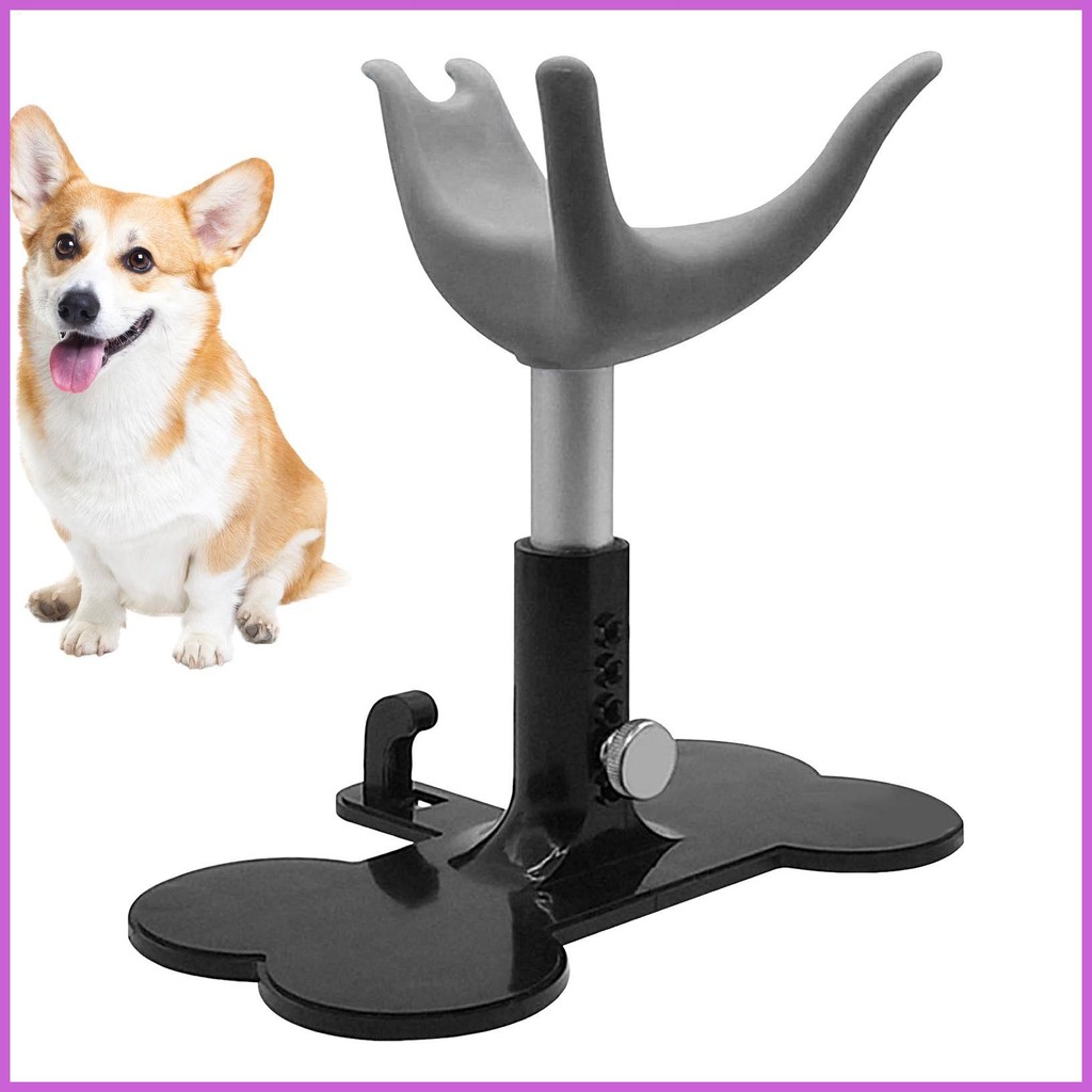Grooming Chair for Small Dogs Standing Up Bathing Support Height ...