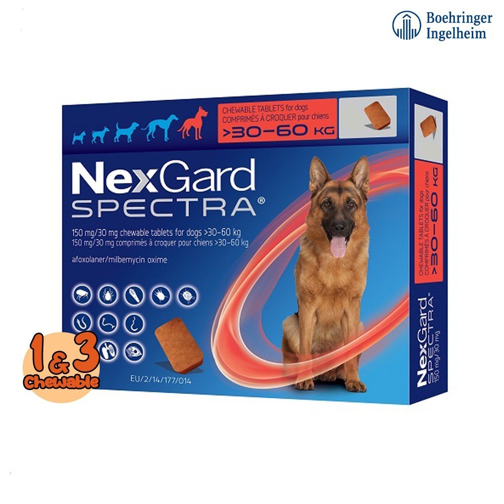 Nexgard Spectra Anti Tick Flea Mange and Deworming Chewables for Dogs ...