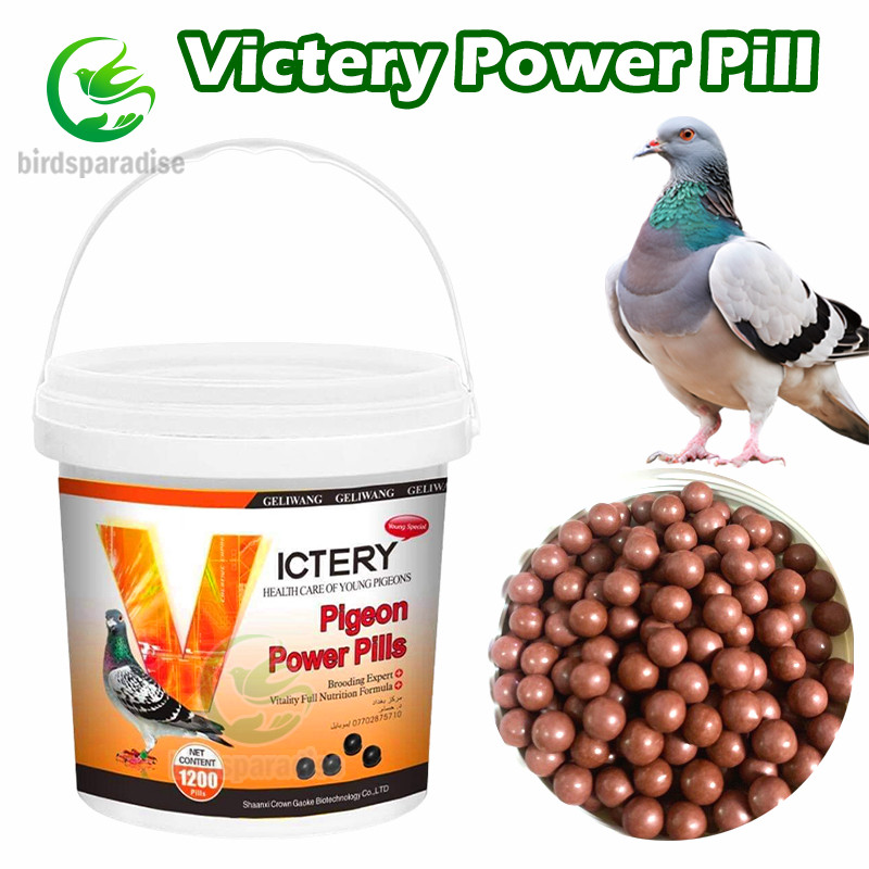 500pills Victery Power Pill Medication for Pigeon Kalapati Healthcare ...