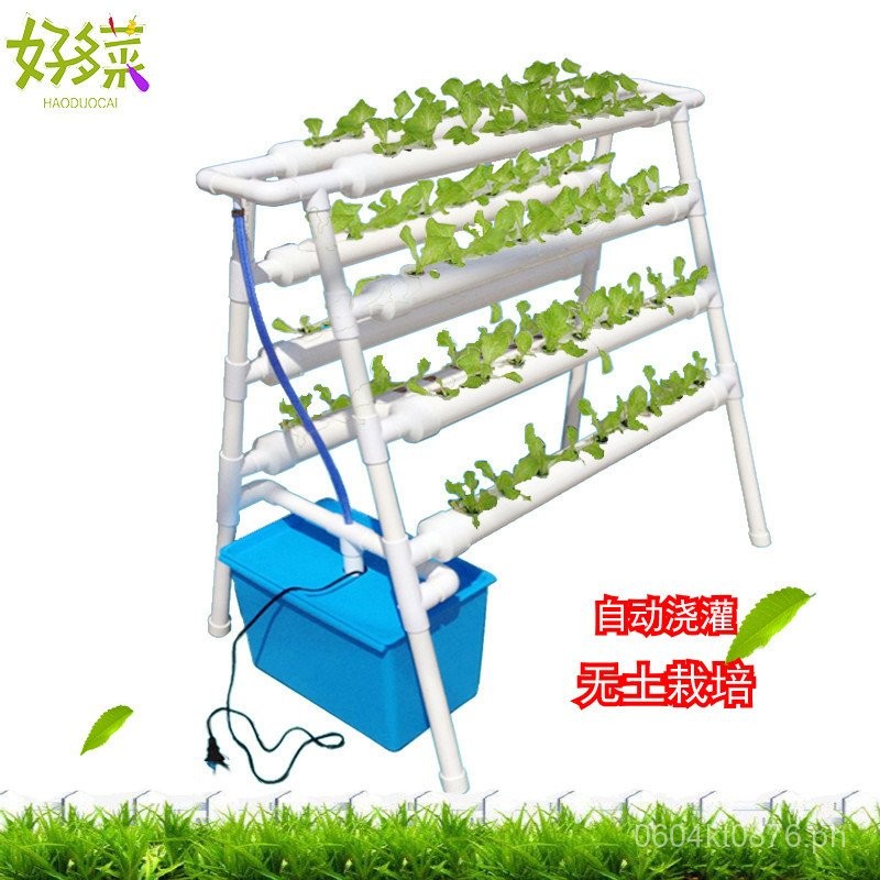 Equipment for Growing Vegetables in Pipes, Soilless Cultivation ...