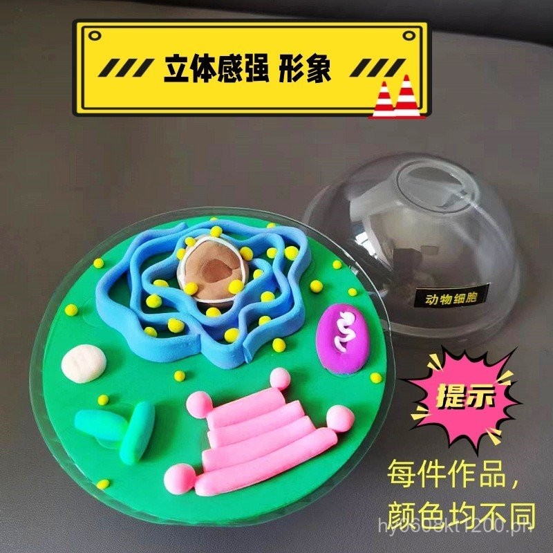 Cell Structure Paramecium Submaterial Nucleus Biology Junior High ...