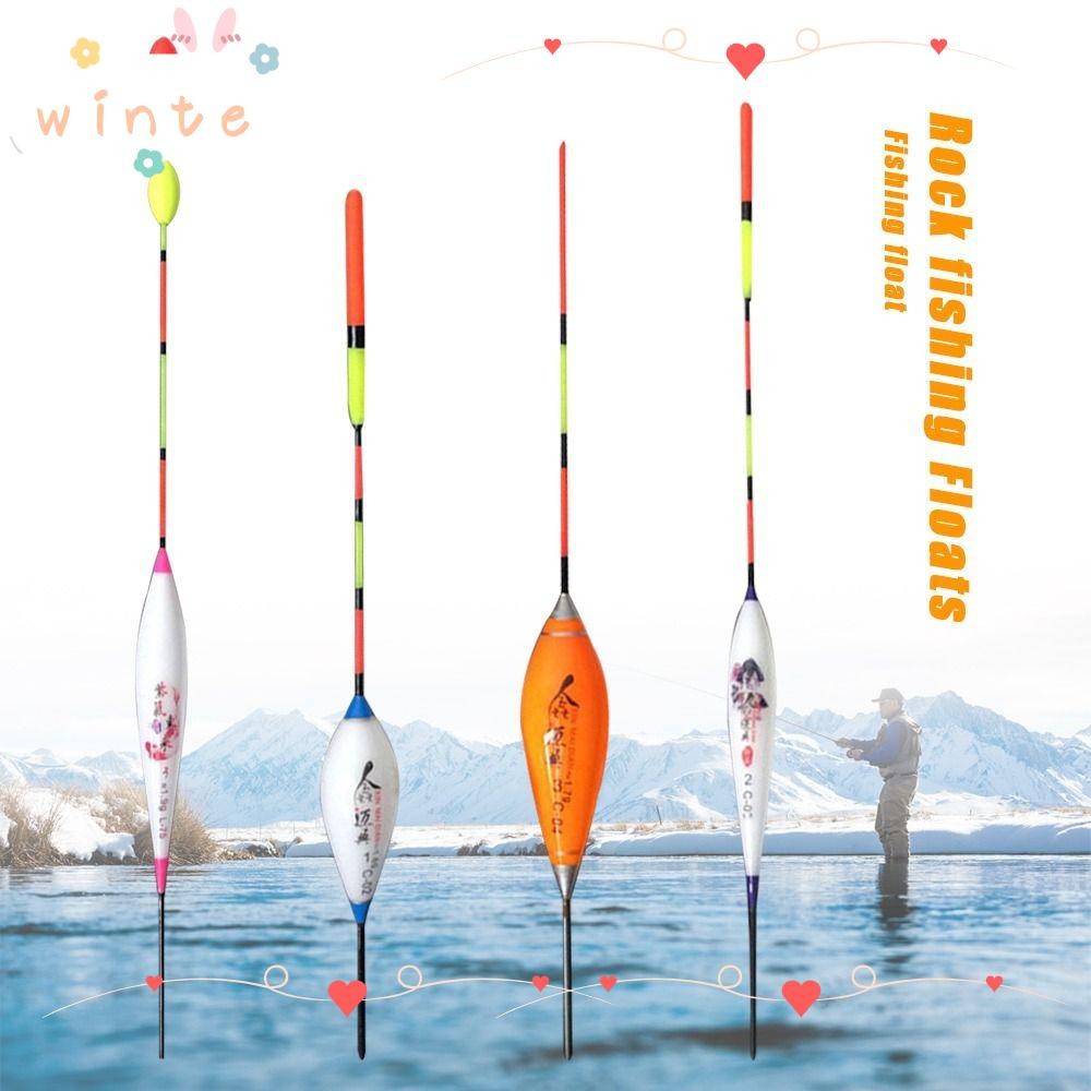 WINTE Fishing float, Carp Weight Tail Bobber Light Float, Portable ...