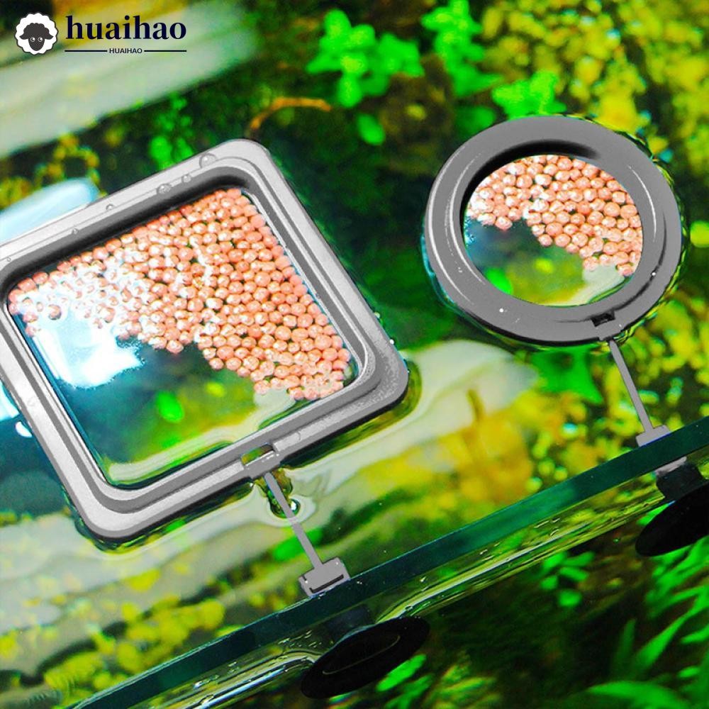 HUAIHAO Black Aquarium Feeding Ring Fish Tank Floating Food Tray Feeder ...