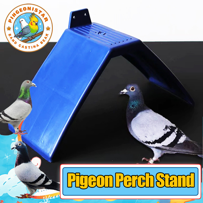 Pigeon Perch Stand Dove Rest Stand Frame Pigeon Perches Roost for Bird ...