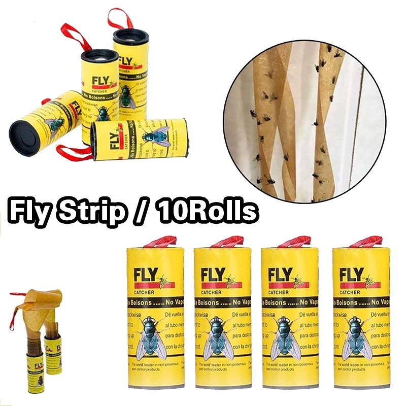 10rolls Flies Trap Tape Strong Flies Sticky Strips | Shopee Philippines