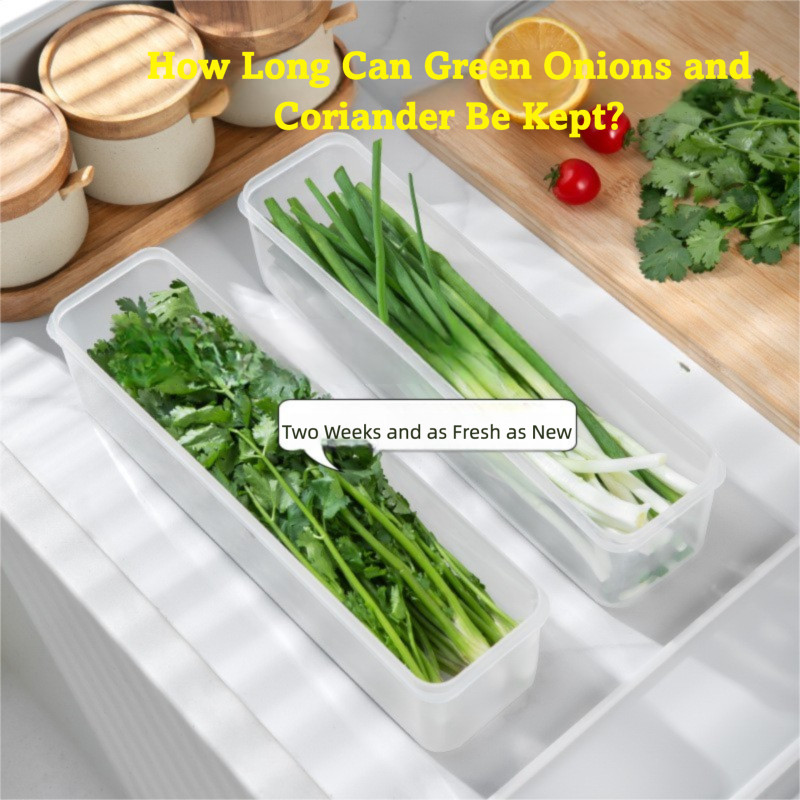 Long Strip Refrigerator Fresh-Keeping Box Transparent Plastic Sealed ...