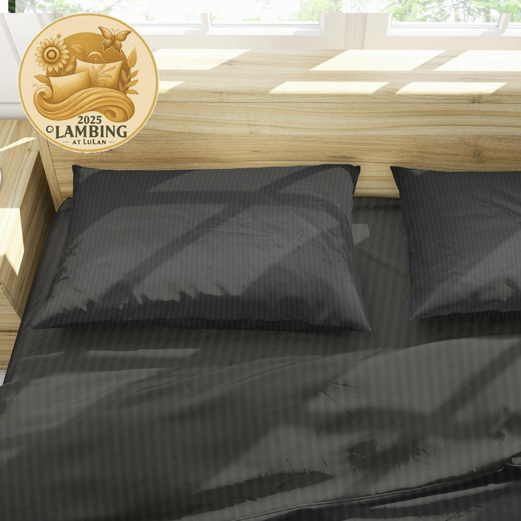4-in-1 Black Stripe Bedsheet Set – King, Queen & Double Sizes | by ...