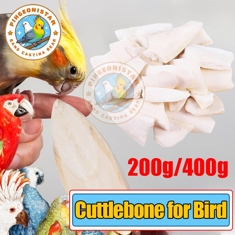 Cuttlefish bone for birds Cuttlebone Premium Cuttle Bone Natural ...