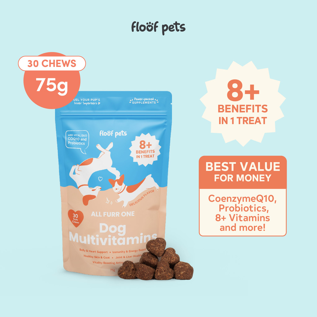 Floof Pets 8-in-1 Dog Multivitamins 30 Chews (75g) Pet Supplement Treat ...