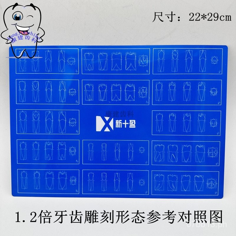 Dentistry1.2Double Standard Dental Enamel Carving Comparison Diagram ...