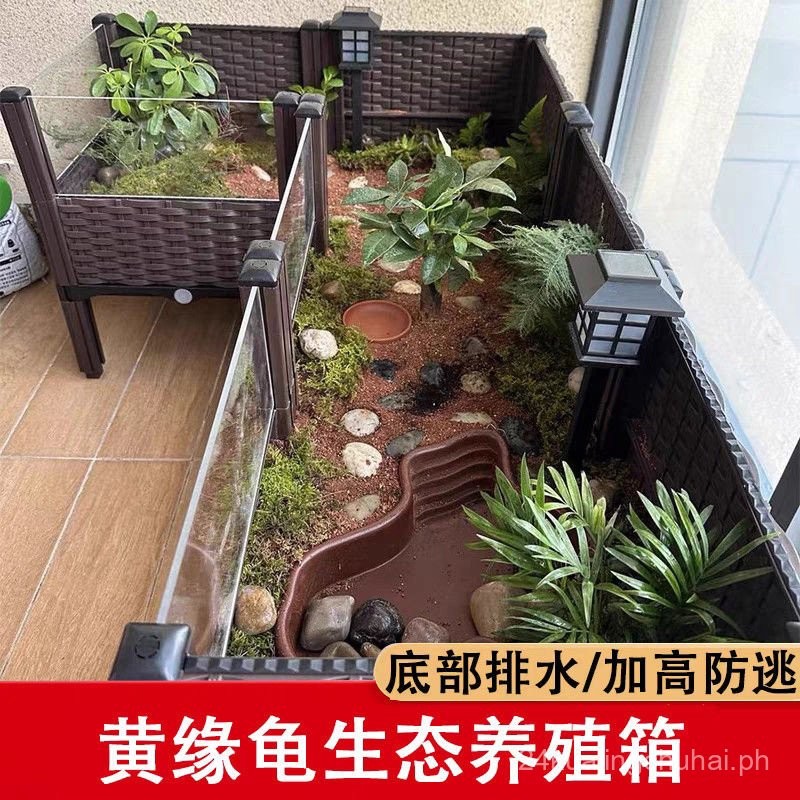 Yellow Edge Turtle Special Breeding Box Land Turtle Semi-Aquatic Turtle ...