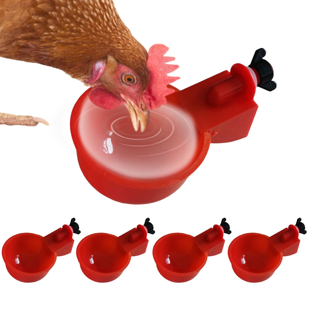 6pcs Chicken Cup Waterer Water Cups Automatic Waterer Cup Chicken Cup ...