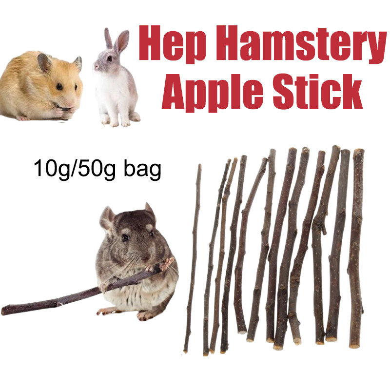 10/50g Organic Apple Sticks Hamster Rabbit Guinea Pig Chew Treats for ...