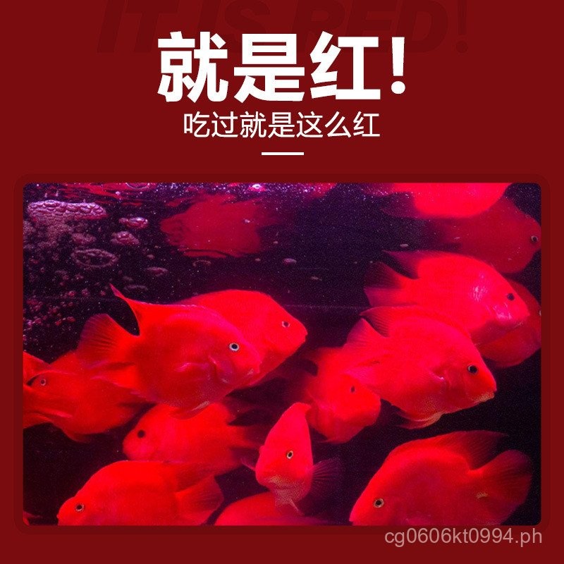 Small Granules Colorful Tropical Fish Parrot Fish Food Red Feed Map ...