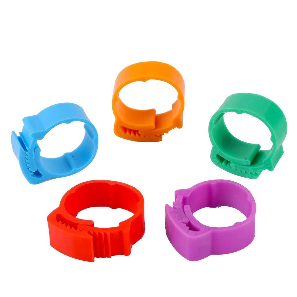 10Pcs Adjustable Chicken Foot Ring Plastic Buckle Ring Poultry Leg Band ...