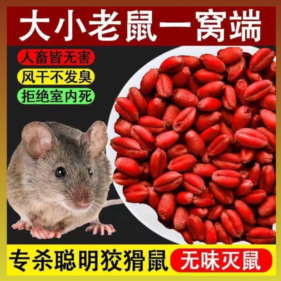 Old shu Mouse Extinguishing shu Powerful Wheat Particles Most Poisonous ...