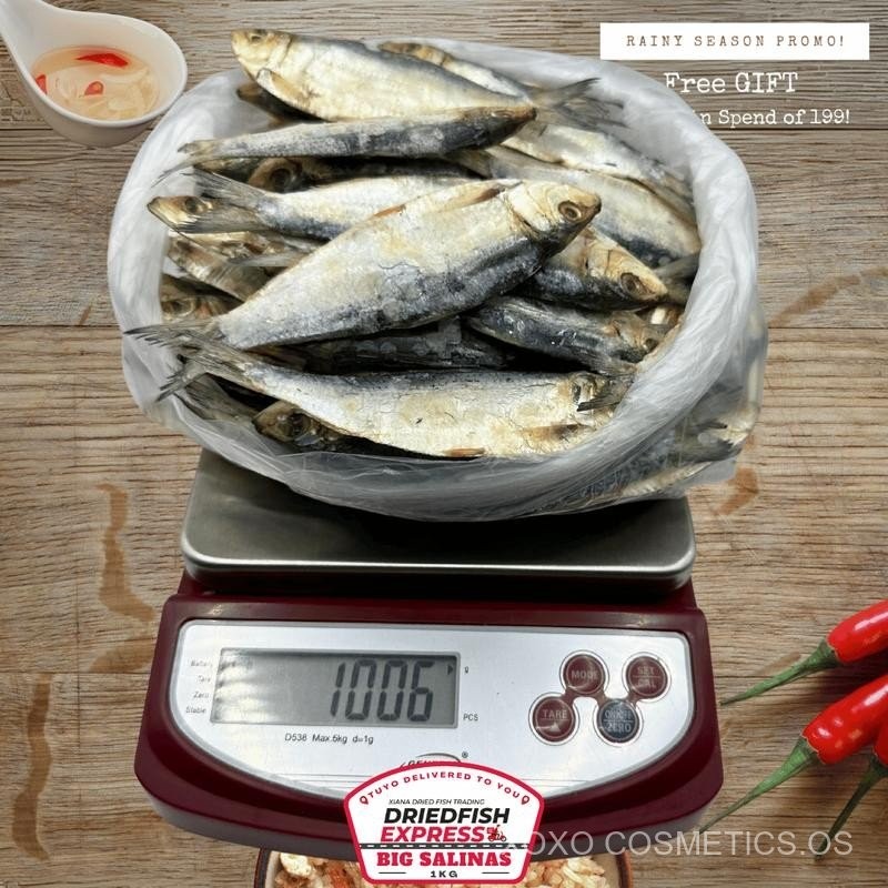 1KG TUYO WHOLESALE Dried Salinas, Tabagak, Lupoy, Small | Shopee ...