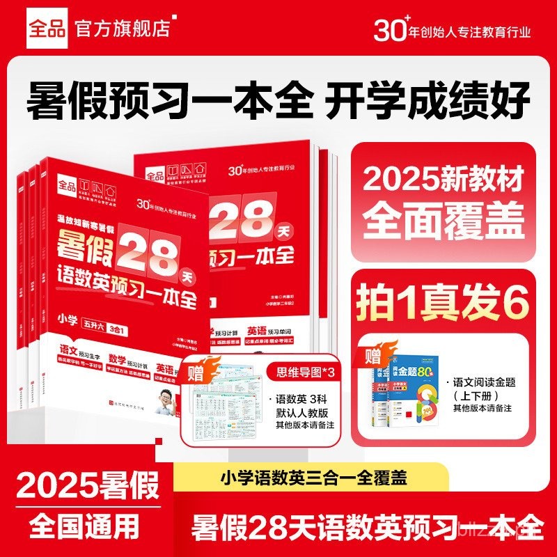 All Primary School[Mathematics, Chinese, and English Summer ...
